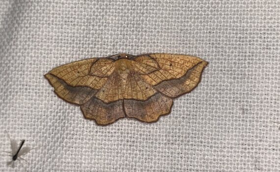 24th August 2020 – Mappery