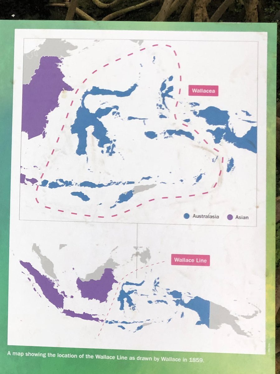 Wallace Line – Mappery